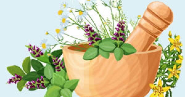 Tıbbi Şifalı Bitkiler